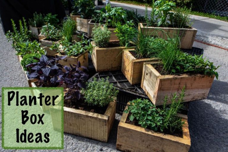 7 Planter Box Ideas to Bring Your Garden New Life - Alternative Mindset